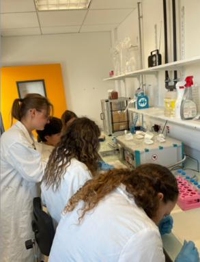 Les terminales spé SVT en immersion dans un laboratoire de ...